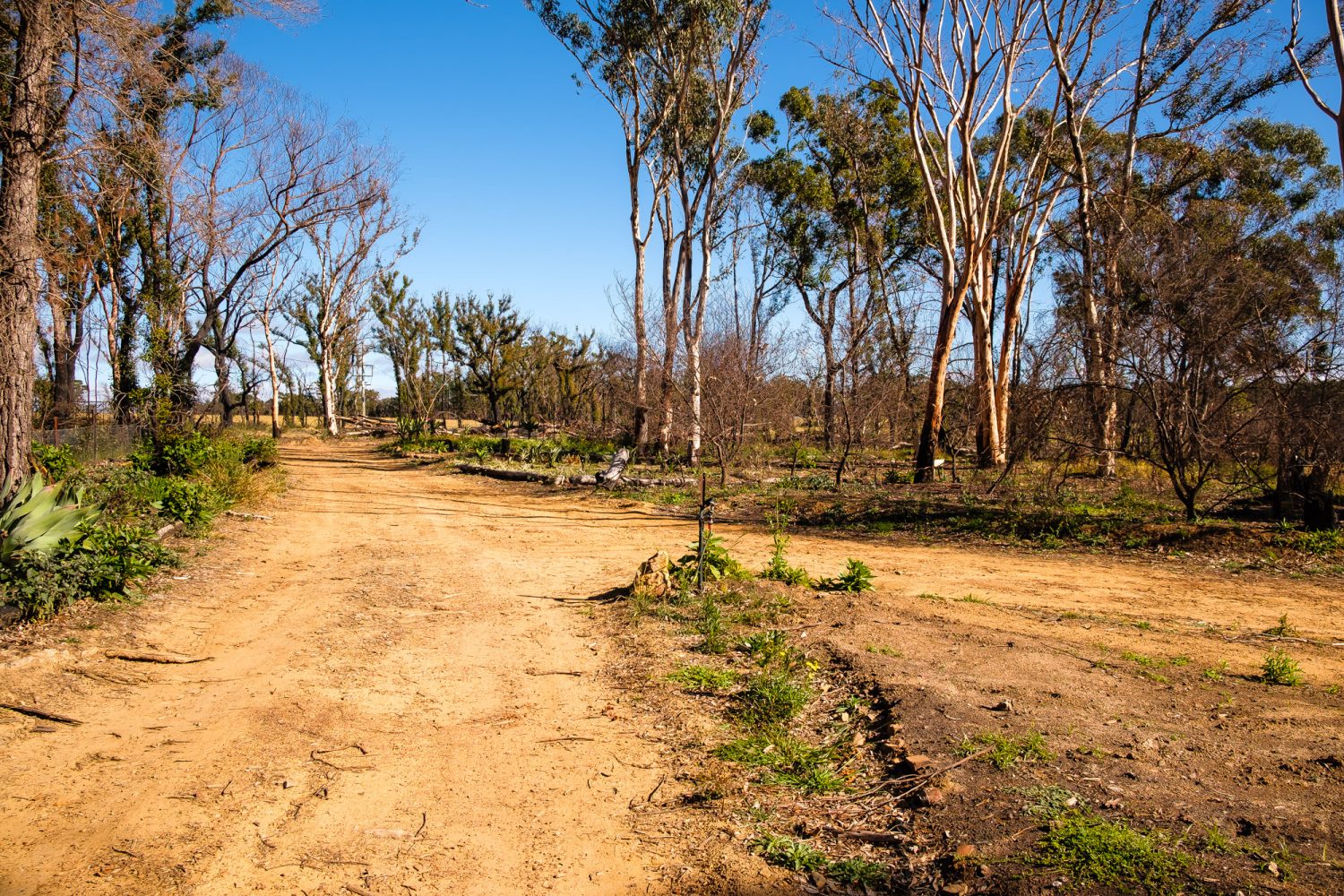 Judith & Paul’s Bushfire Recovery | Brian Wolowicz NGO Photography